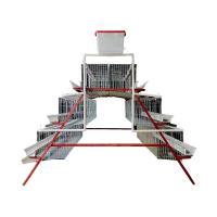 China Galvanized Structure Poultry Chicken Layer Battery Cage A Frame With Egg Collection System for sale