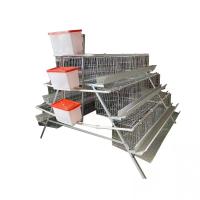 China Galvanized Structure Poultry Chicken Layer Battery Cage A Frame With Egg Collection System for sale