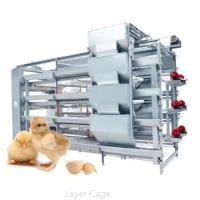 China Customized H Type Layer Cage Automatic Poultry Chicken Layer Cage Galvanized Structure for sale