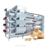 China Customized H Type Layer Cage Automatic Poultry Chicken Layer Cage Galvanized Structure for sale