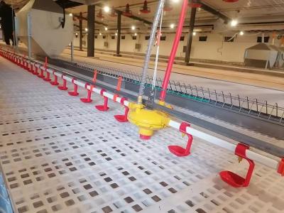 China Easy Cleaning Plastic Poultry Slatted Floor Anti Slip Surface for Poultry Chicken Duck for sale