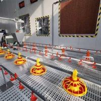 China PP Material Automatic Poultry Feeding System Labor Saving For Chicken Care for sale