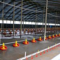 China PP Material Automatic Poultry Feeding System Labor Saving For Chicken Care for sale