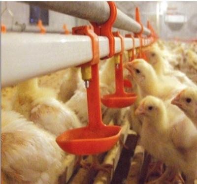 China Water Saving Automatic Poultry Water Nipple Drinker Anti Leakage For Broiler Chickens for sale