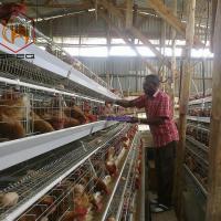 China Multi Tier Design Layer Cage System Galvanized Layer Chicken Battery Cage Customizable for sale