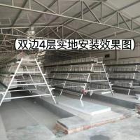 China Multi Tier Design Layer Cage System Galvanized Layer Chicken Battery Cage Customizable for sale