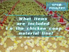 Automatic Poultry Feeding and Drinking System Solution