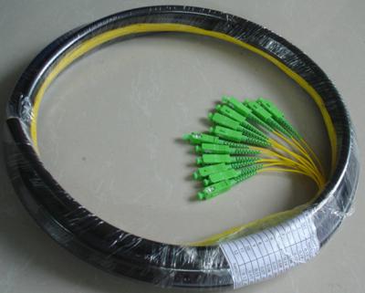 China Waterproof 12 Core Fiber Optic Pigtail With SC APC Connector PE Jacket for sale