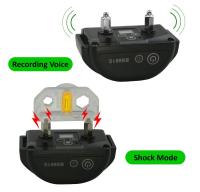China Personalized Voice Dog Bark Collar 5 Level Adjustable Static Shock Sensitivity for Small Medium Dogs for sale