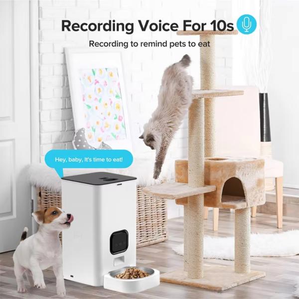 Quality 4L Smart Cat Feeder APP Programmable Timed Pet Feeder With Voice Recording for sale