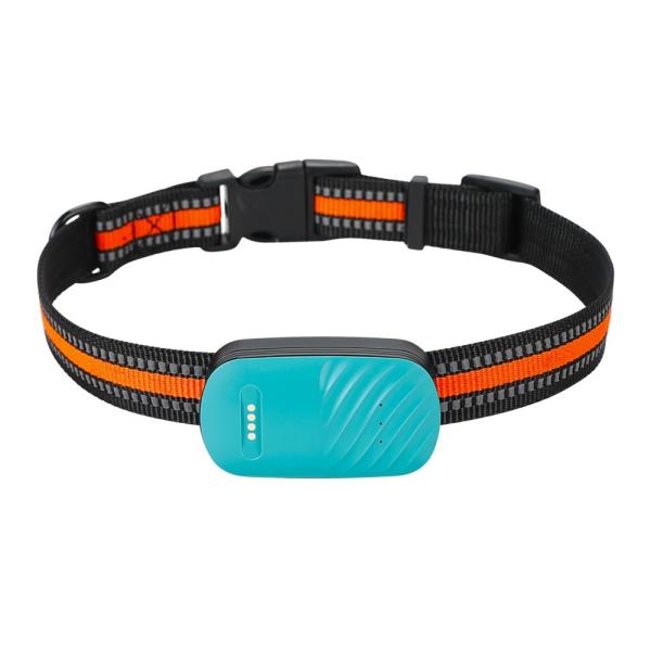 Quality IP67 Waterproof 4G Pet Collar GPS Tracker For Dogs And Cats Real Time Tracking Device for sale