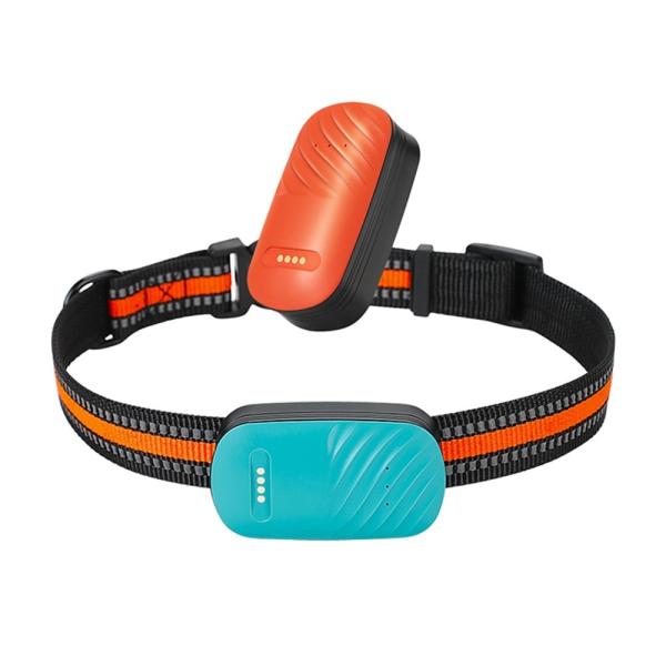 Quality Mini 4G Smart Pet Tracker Device GPS Tracker Locator Rechargeable Waterproof for sale