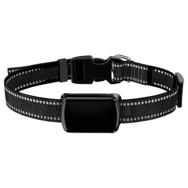 Quality IP67 Waterproof GPS Pet Tracker Locator Rechargeable Dog And Cat GPS Tracker for sale