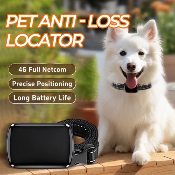 Quality Anti Lost GPS Pet Tracker Locator Rechargeable Waterproof 4G Smart Cat Dog GPS Tracker for sale