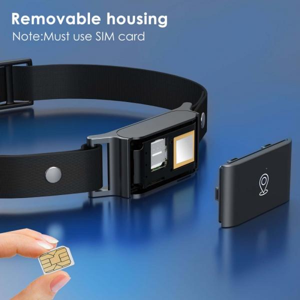 Quality 4G GPS Dog Tracking Collar Real Time IP67 Waterproof Anti Lost Locator Cat Tracker Collar for sale
