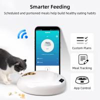 Quality Automatic Smart Pet Food Dispenser Tuya APP Remote Control Detachable Food Bowl for sale