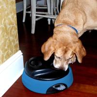 China Automatic Pet Feeder 4 Trays Programmable Timer 475ml Capacity CE RoHS for sale
