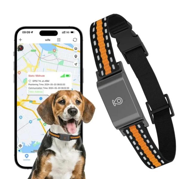 Quality Rechargeable 4G GPS Pet Tracker Collar Multi Positioning Locator With WiFi BDS LBS for sale