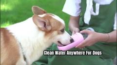 Best Portable Dog Water Bottle with Filter for Travel