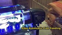 Automatic Fish Feeder Smart Feeding Solution