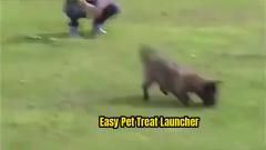 Interactive Pet Treat Launcher Toy for Dogs and Cats