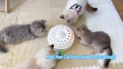 Best Automatic Cat Toy for Bored Kittens