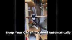 Best Automatic Laser Cat Toy for Indoor Play