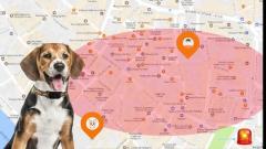 Smart GPS Pet Tracker Real Time Location and Safety
