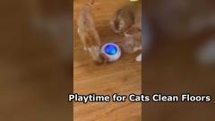 UFO Automatic Pet Toy Keeps Cats Active and Floors Clean