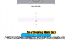 Smart Automatic Fish Feeder for Easy Aquarium Feeding