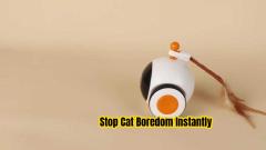 Best Interactive Cat Toy for Indoor Exercise