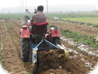China 4U Series Potato Harvester for sale