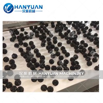 Cina Linea di produzione per palline di caramelle e frutta secca in vendita