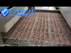 Oatmeal Chocolate Bar Forming Machine