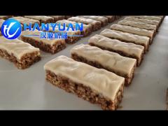 Double Layer Cereal Protein Bar Processing Line