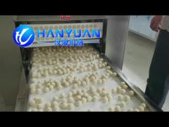 Productielijn voor rijstcandyballen