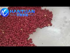 Peanut Skin Removing Machine
