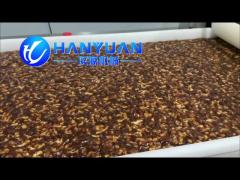 Dates Bar Machine