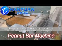 sesame chip production line