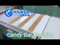 fruit bar production line
