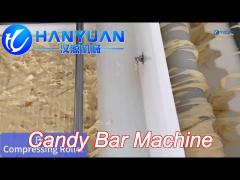 automatic mango cake production line