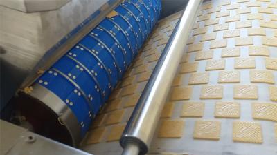 중국 긴 서비스 라이프 비스킷 생산 라인 100~1800Kg/Hour 판매용