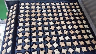 中国 SIEMENS機械を作る電気チョコレート詰物のビスケット 販売のため