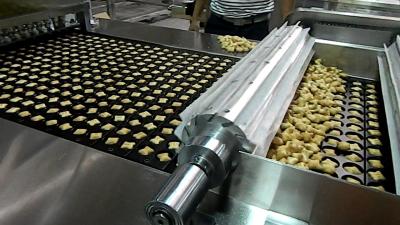 Cina Attrezzatura crema di fabbricazione di biscotti dell'iniezione del cioccolato per ciao Panda Biscuit in vendita