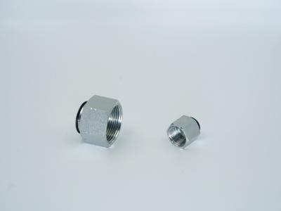 Cina Nptf idraulica maschile femminile di unione di tubature Fittings standard DIN con foglio galvanizzato in vendita