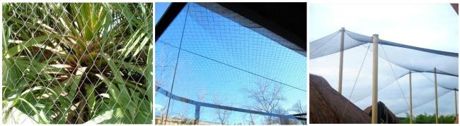 Зеленая сетка стены/животная сетка приложения/животная сетка приложения