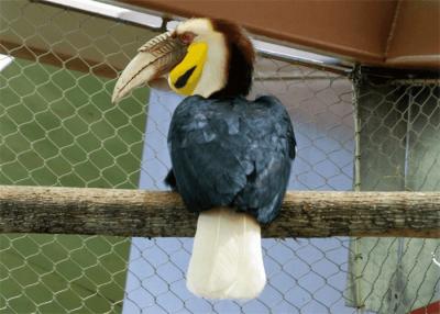 중국 난간 동물원 새장을 격분하는 계단을 얻기 위해 상대와 경쟁하는 SS316 물미 동물 케이지 다이아몬드 와이어 메쉬 판매용