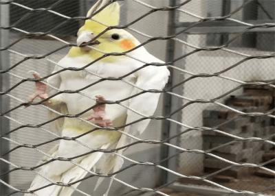 중국 Alaska 304 Stainless Steel Aviary Mesh Metal Rope Mesh Rustproof High Durability 판매용