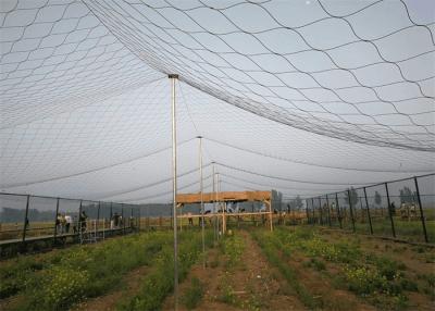 中国 7X7ステンレス鋼の飼鳥園の網の動物園動物のためのフェラル鳥のエンクロージャの網 販売のため