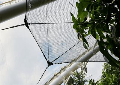 중국 304개 1X7 스테인레스 강 페룰형 메쉬 / 316 동물 인클로저 메쉬 판매용